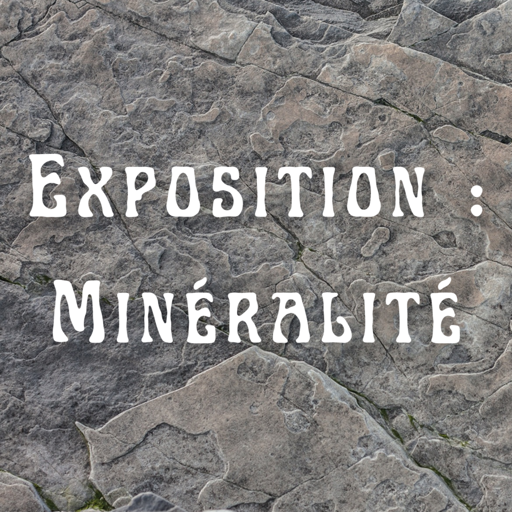 Coly Saint-Amand - Exposition Minéralité